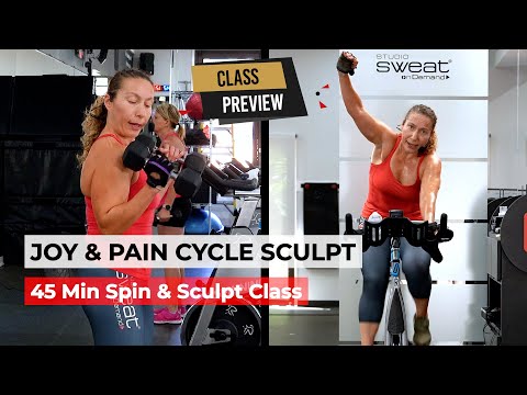 *DOWNLOAD* Joy & Pain Cycle Sculpt (Preview)