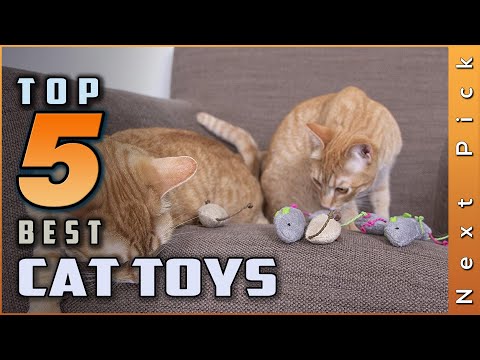 Top 5 Best Cat Toys Review | Which One Should You Buy?  [2024]