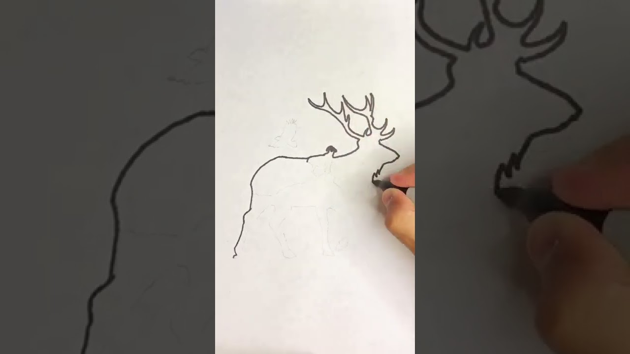 Aprende a dibujar un venado de forma creativa
