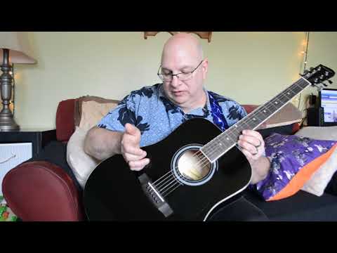 Savannah Acoustic Guitar Review