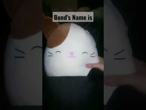 The Bonds Name, James Name #shorts #short #meme #funny #trending #viral #jamesbond #squishmallows