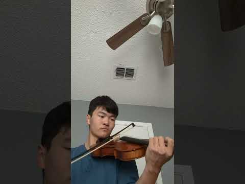 Beautifully crafted budget instrument!! | Reverb