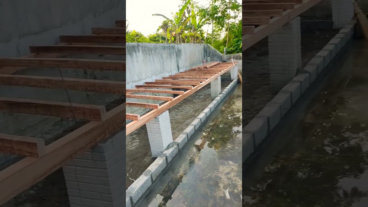 Kayu mulai naik,calon kandang kambing total 22meter #peternakkambing #kambing