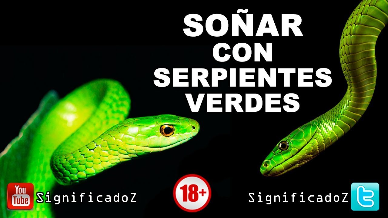 Significado de SOÑAR CON SERPIENTES VERDES 🔞 ¿Que Significa?
