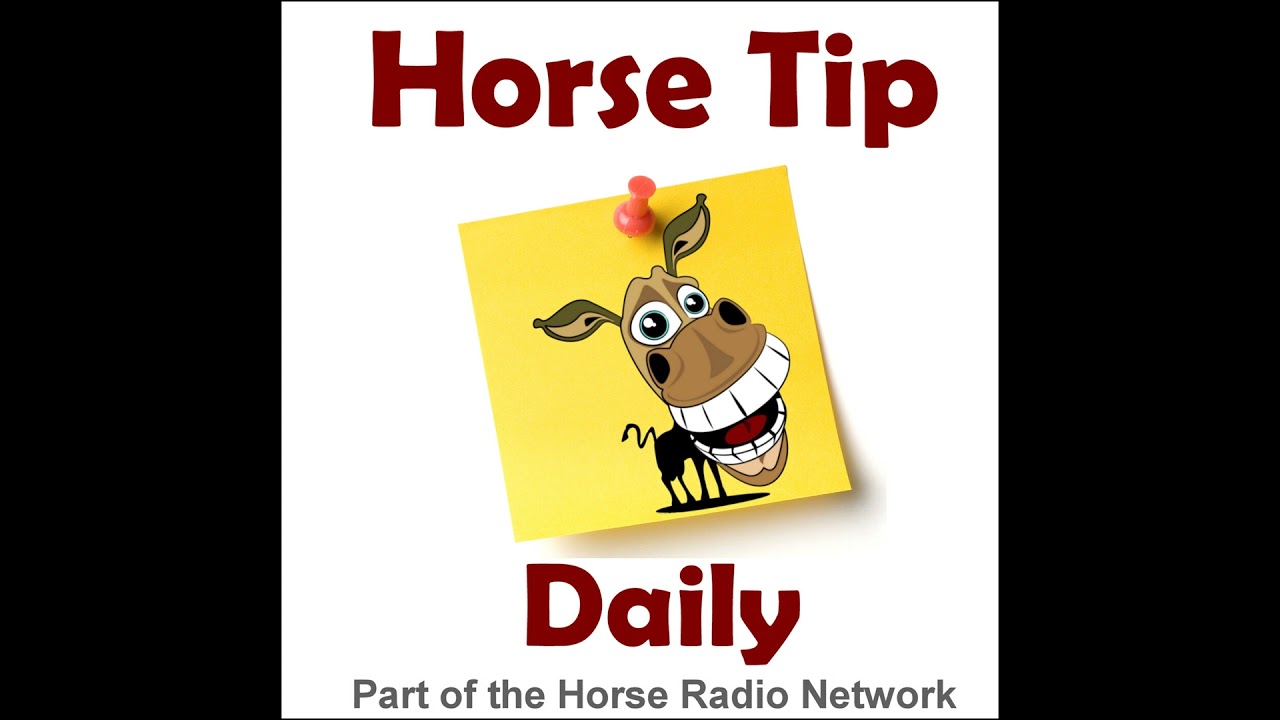 1606: What Your Farm or Horse Sitter Needs to Know, by Equestrian Plus