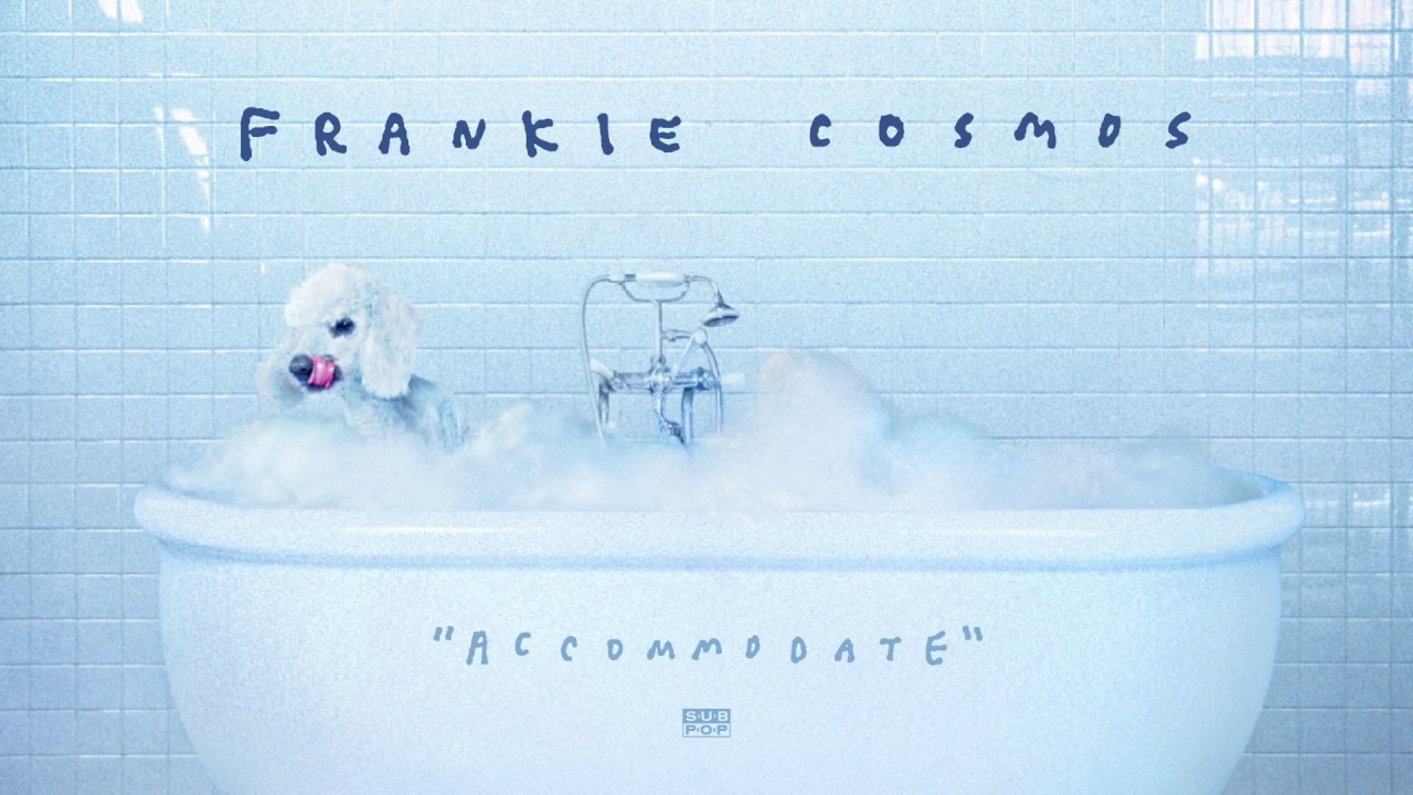 Frankie Cosmos - Accommodate