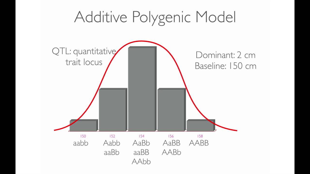 Multifactorial Inheritance by B. Korf | OPENPediatrics