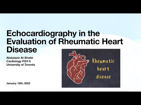 Echocardiographic Assessment of Rheumatic Heart Disease