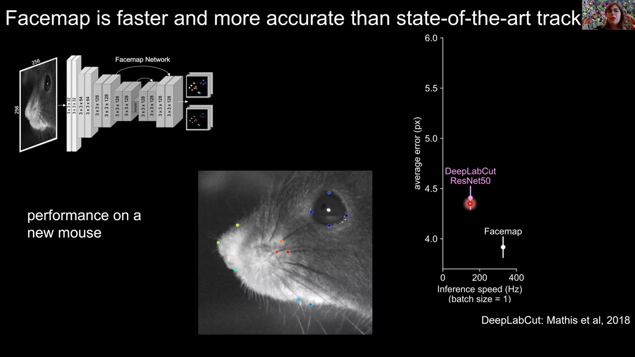 QLS/CAMBAM Seminar - Carsen Stringer - October 3 2023
