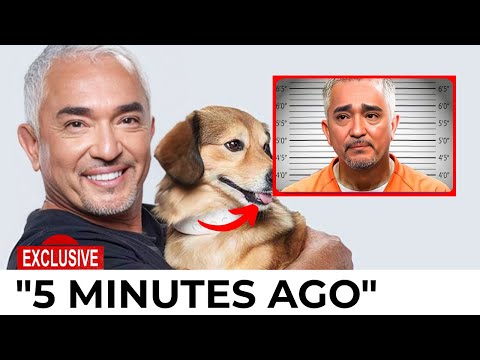 Things Aren't Looking Good For Cesar Millan