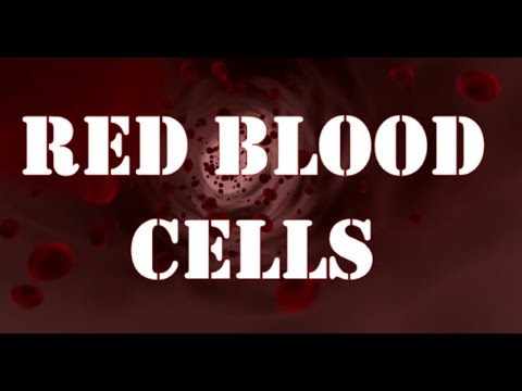 What is the definition of red blood cell? Information About Red Blood Cells