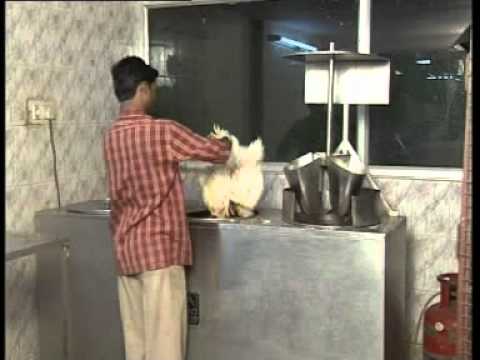 Chicken Processing Plant - Chicken Process Machinery Latest Price ...