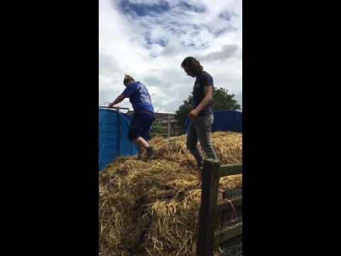 Muck heap