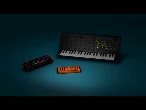 Synthesizer Still Life – Birds! with Karen