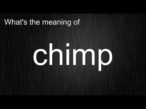 What's the meaning of "chimp", How to pronounce chimp?