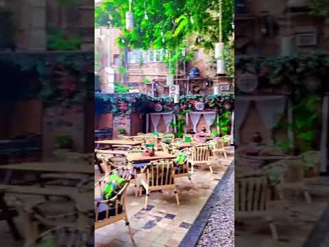 Unplugged Courtyard | Cannought Place | New Delhi #vibes #shorts #rajivchowk #newdelhi #restaurant
