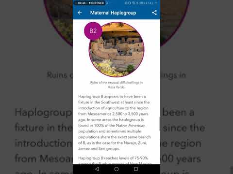 23andme my maternal haplogroup Ecuadorian DNA results B2B Native American haplogroup