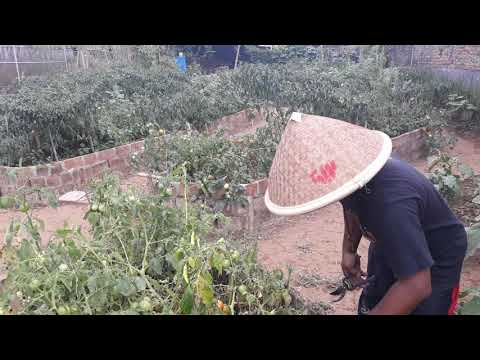 SILATURAHMI DI RKS ( RUMAH KREASI SENTOLO ) PT. SENTOLO ISTI PARAMA