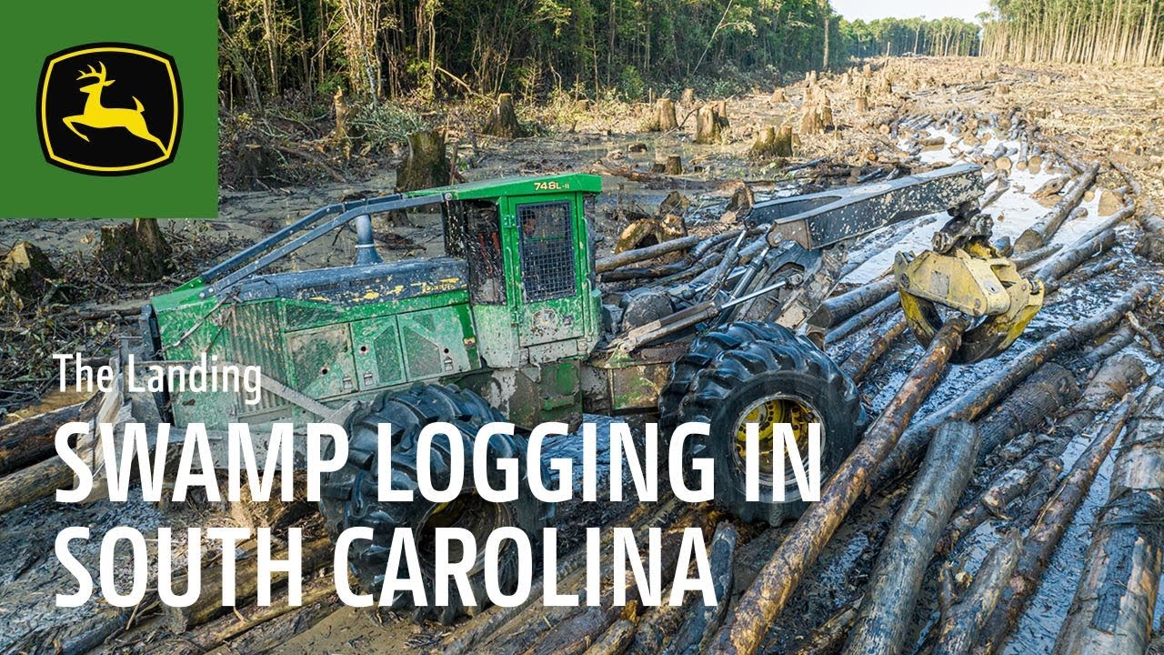 Swamp Logging in South Carolina | John Deere Forestry