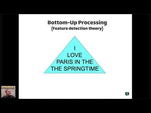 AP Psych- Perception