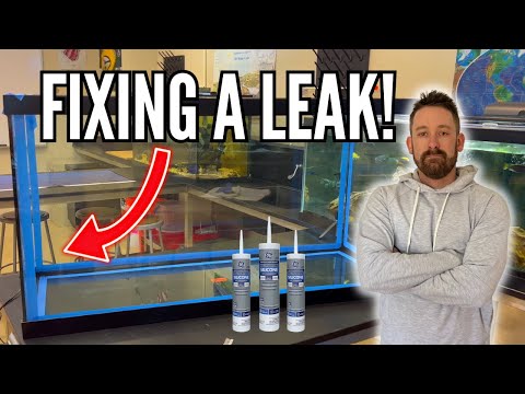 How I Resealed My Leaking Fish Tank (Like New 90 Gallon Aquarium!)
