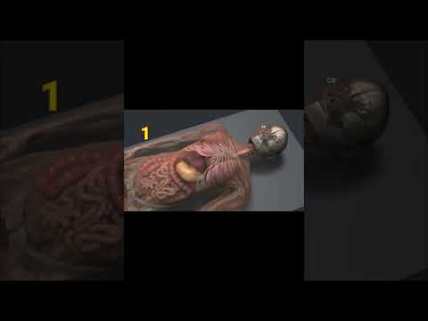 Interesting Aspects Of Ancient Egypt In Urdu