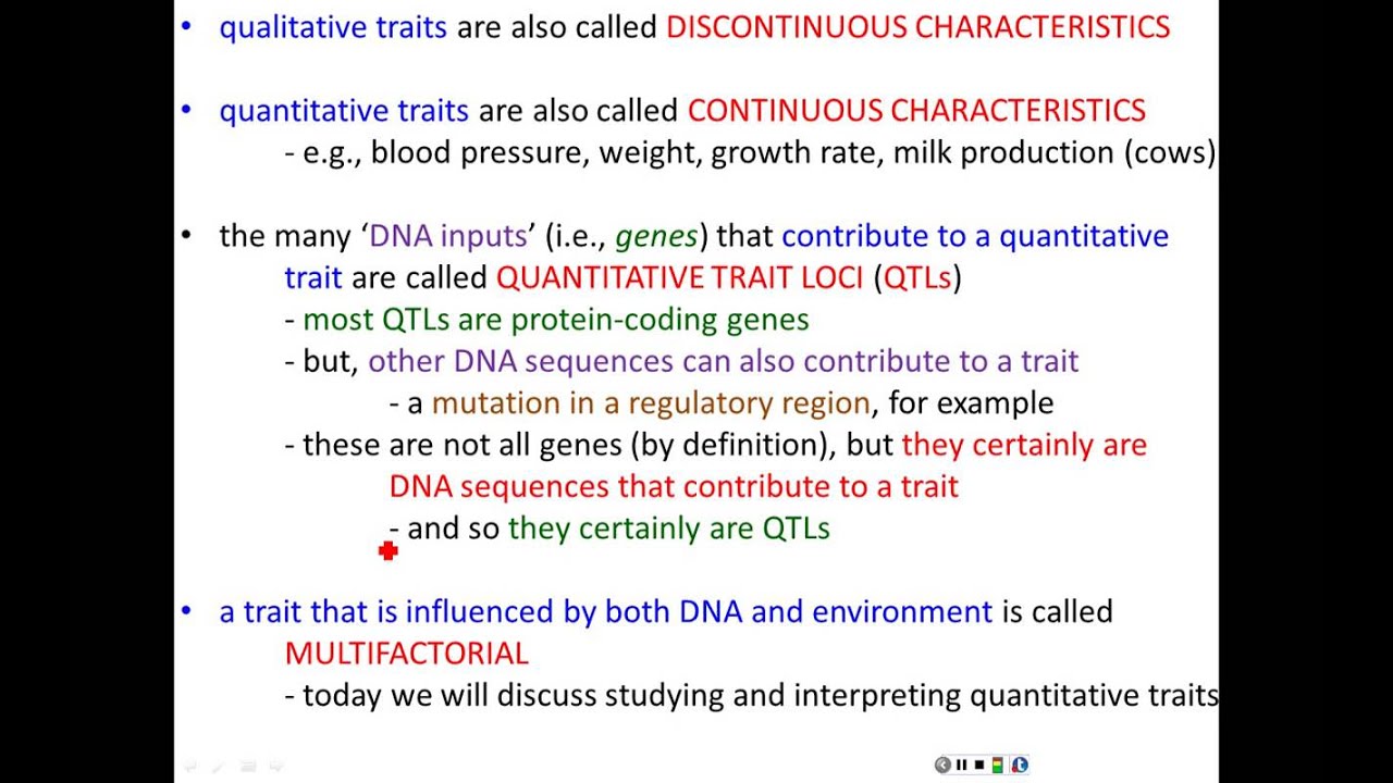 Lecture 17 - Quantitative Genetics