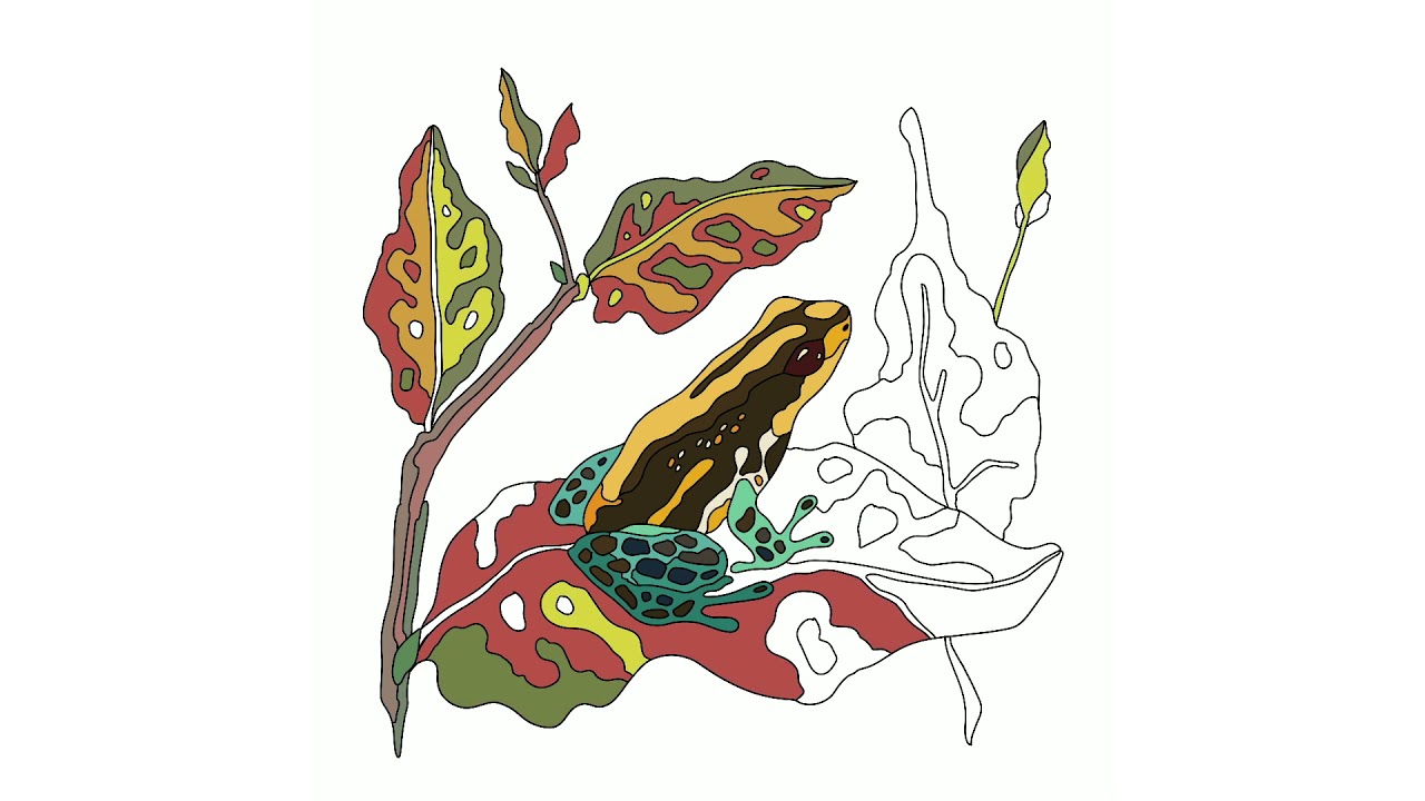 Frogs Coloring Pages