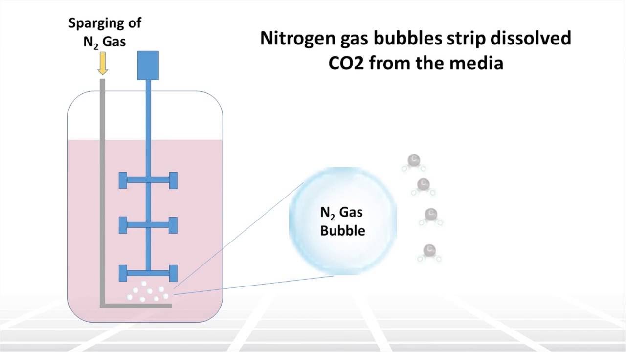 The Impact of pH on Cell Culture in Bioreactors – Two Minute Tuesday Video
