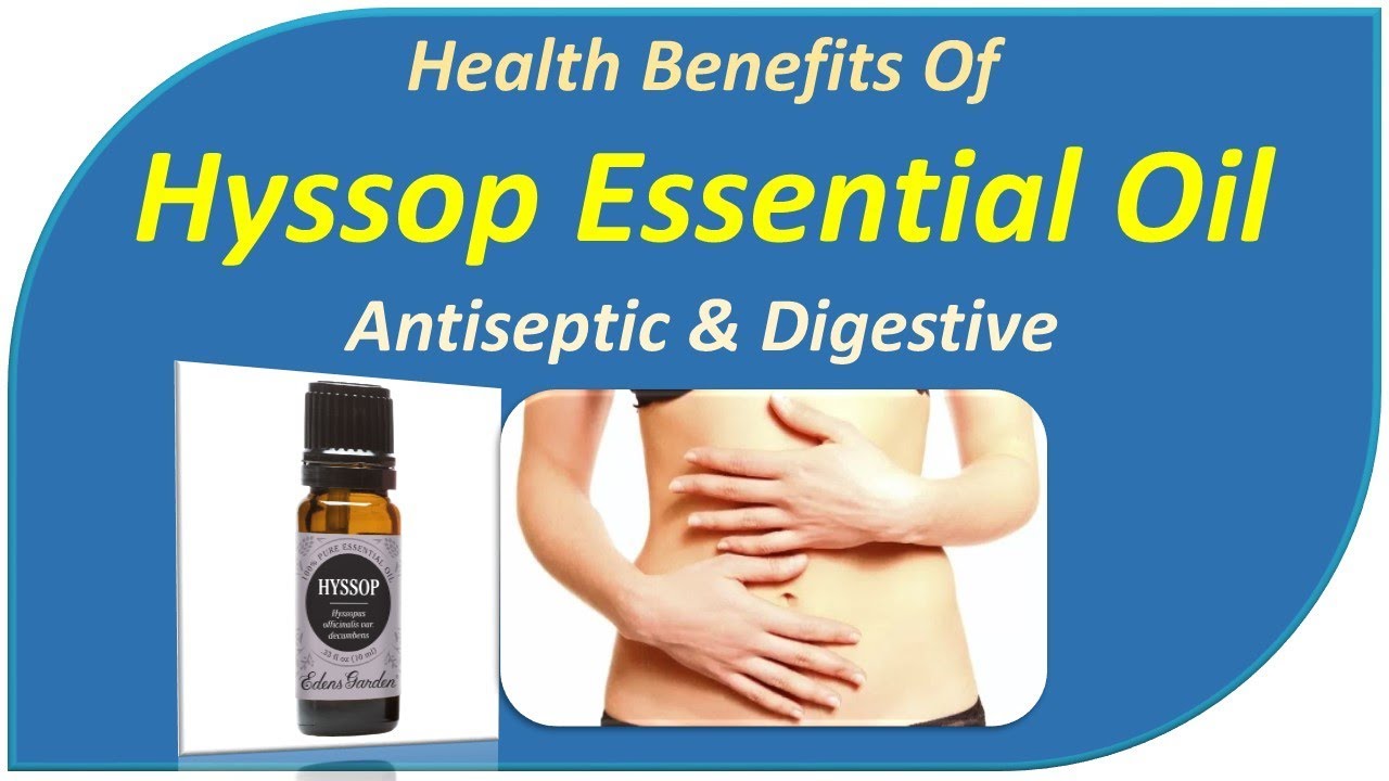Health Benefits Of Hyssop Essential Oil - Antiseptic & Digestive