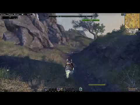 ESO's domesticated dogs are NOT man's best friend. — Elder Scrolls Online