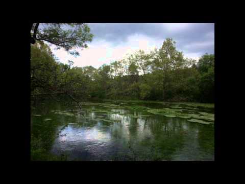 Sibelius - 4 Songs (Ahonen / Sirodeau)
