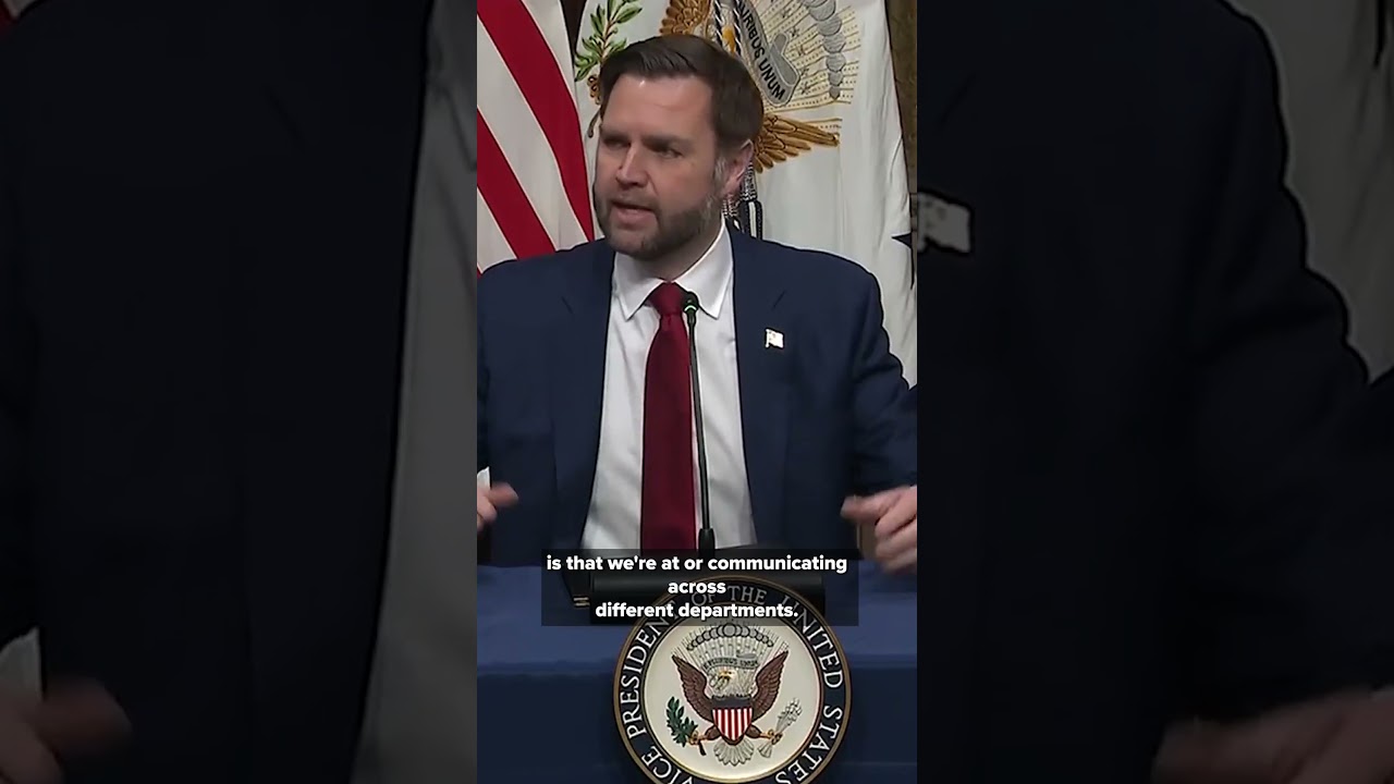 JD Vance says Trump administration is fixing 'Biden-made' fraud with new task force