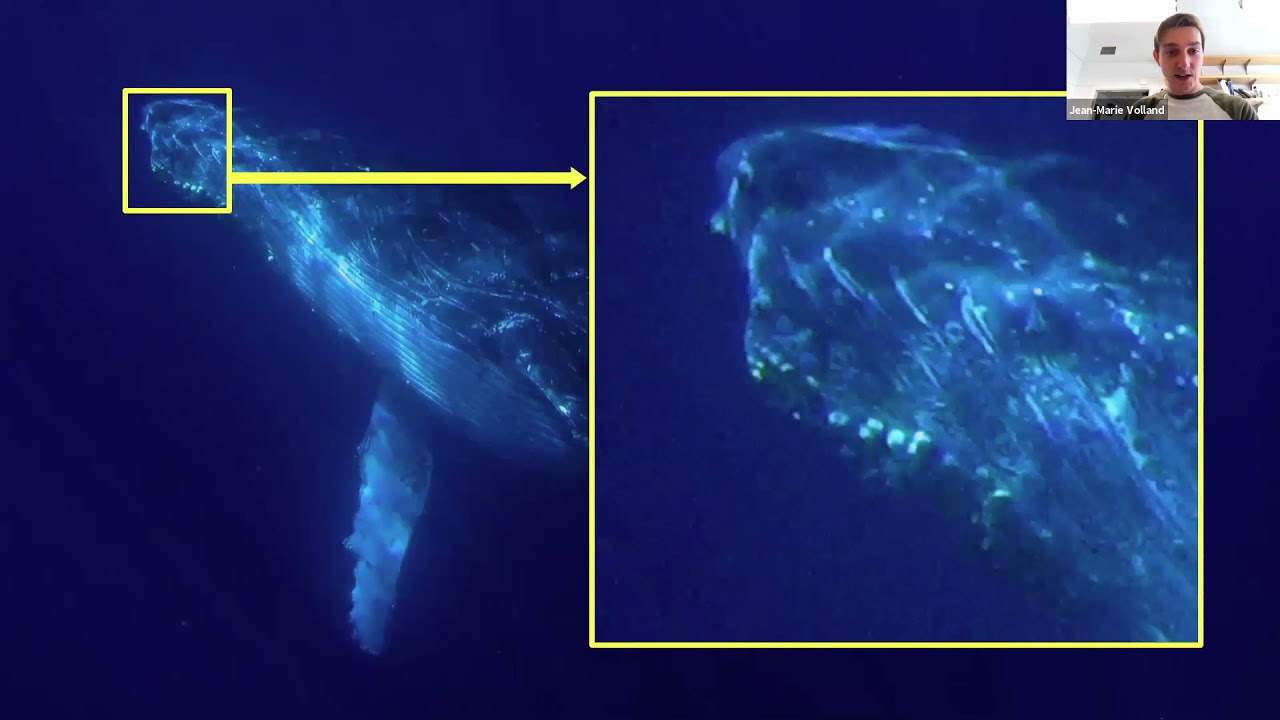 Live Science: Exploring Earth