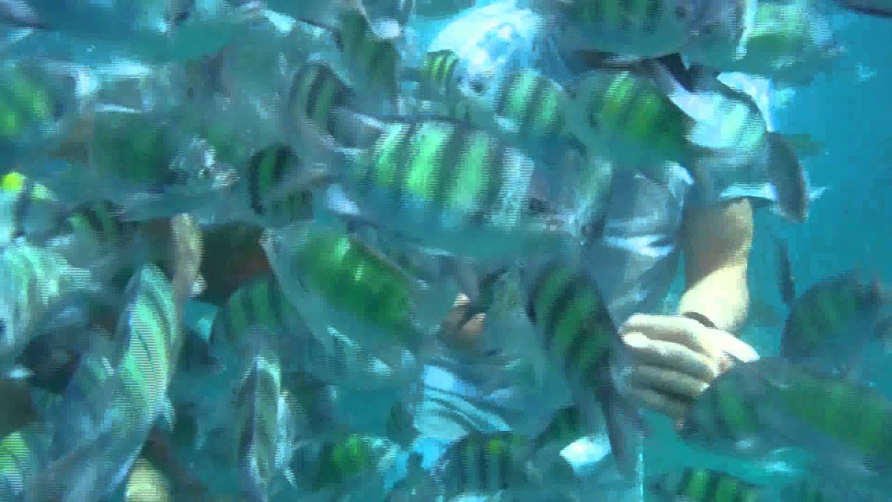 DSCF2080 High quality and size