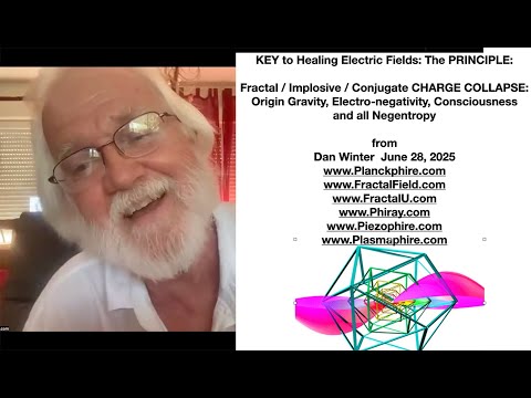 KEY to Healing Electric Fields: The PRINCIPLE:Fractal / Implosive / Conjugate CHARGE COLLAPSE