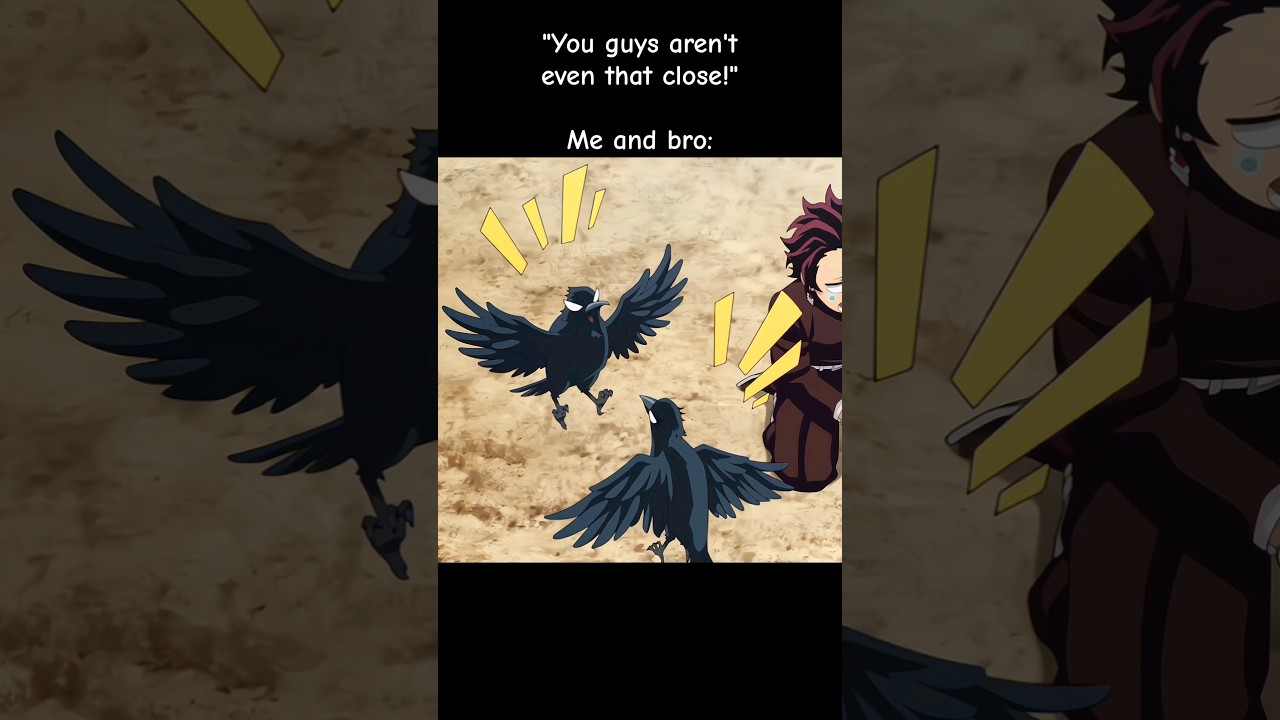 #kny I love the crows😭🙏 #demonslayer #kimetsunoyaiba #crow #kasugai #anime #fyp #hashiratrainingarc