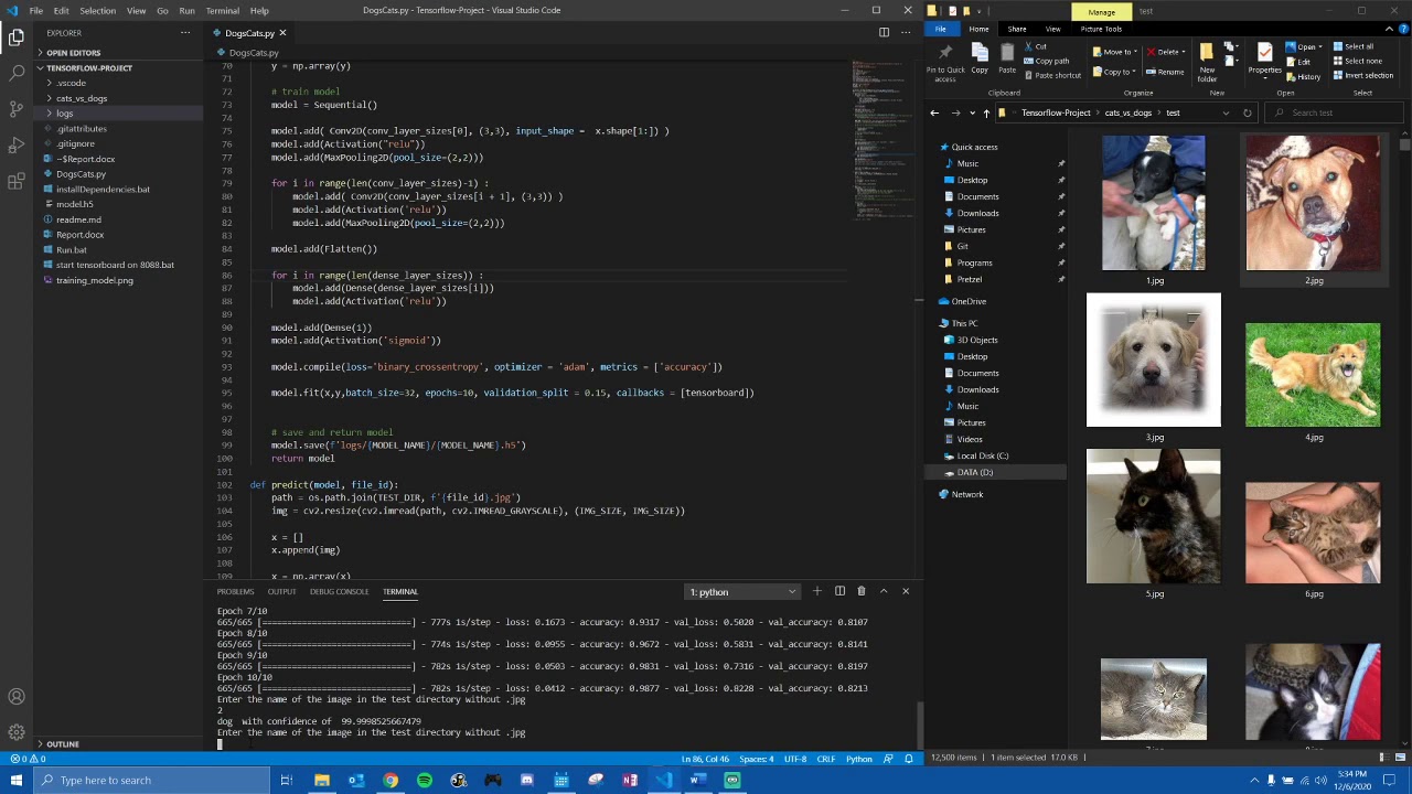Cats and Dogs - Neural Network