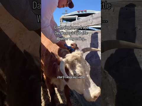 Cowboying is a verb, just ask Siri