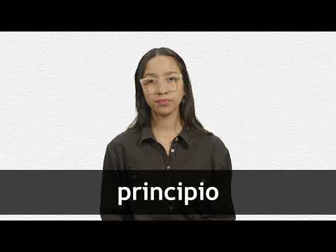 English Translation of “PRINCIPIO” | Collins Spanish-English Dictionary
