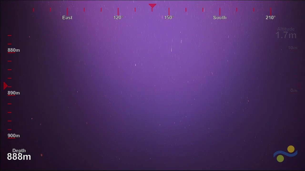 ROV SuBastian Dive 265 - Astoria Canyon