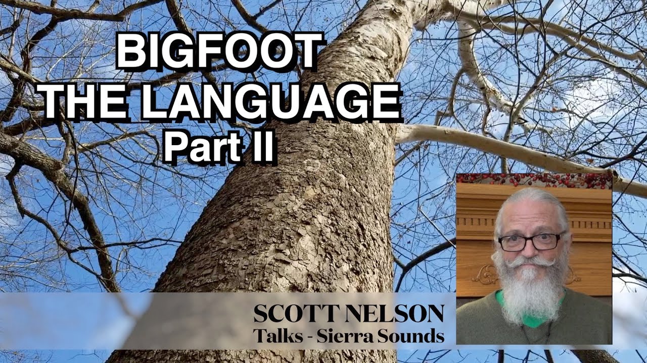 Bigfoot the Language Part II