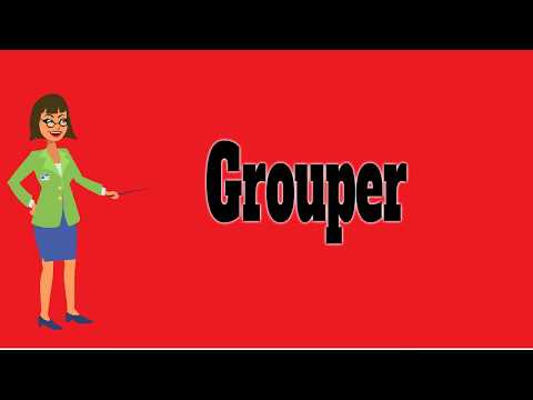 Grouper | Pronunciation | Meanings | Definition | Ocean Animals