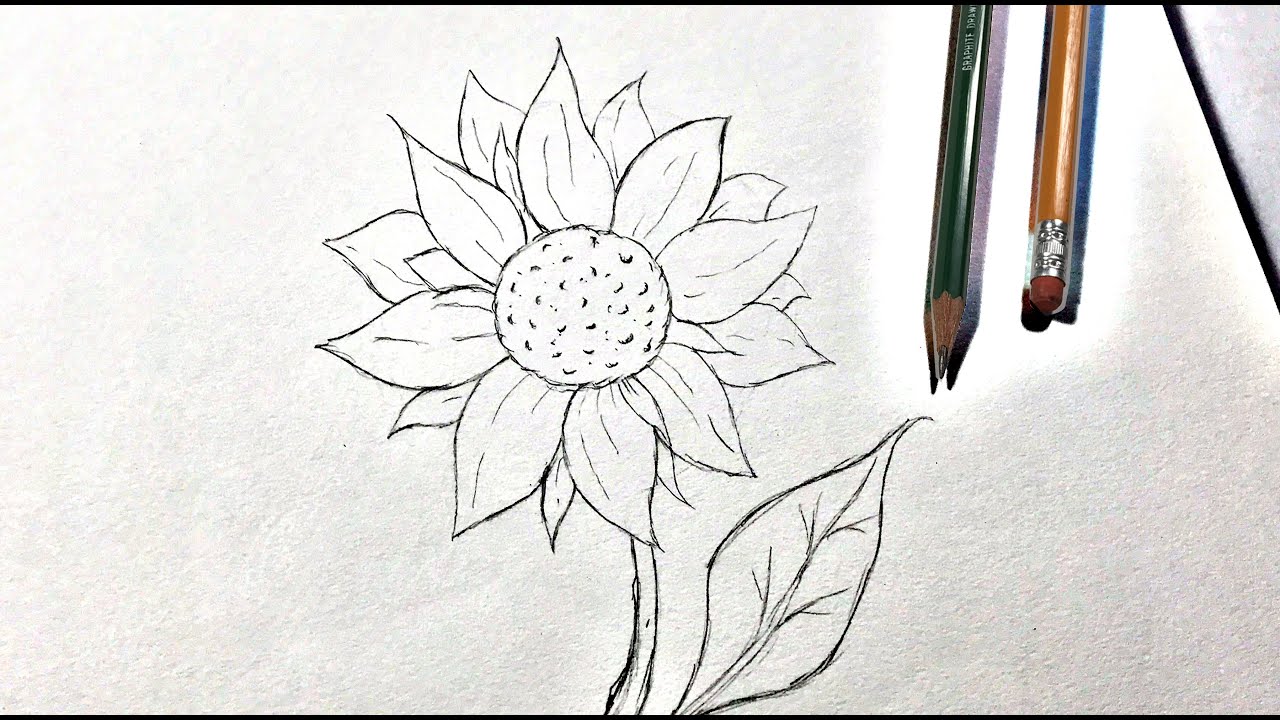 🌻HOW TO DRAW AN EASY SUNFLOWER WITH A PENCIL🌻