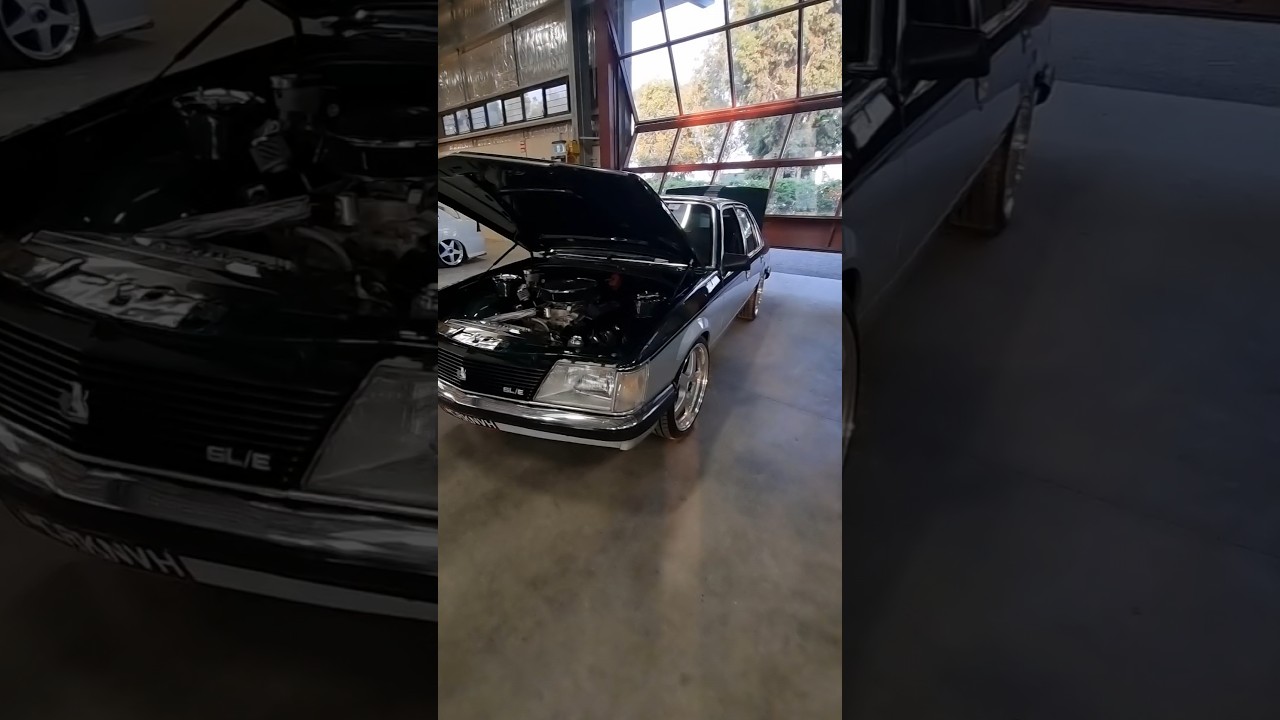 Holden commodore vh sle v8 😏 at springnats