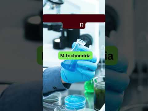 What is the process of separating components in a mixture called?