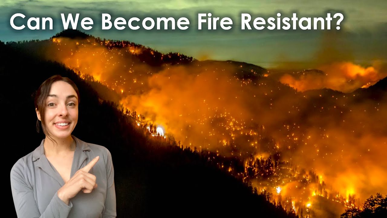 How to Increase Wildfire Resilience & Resitance w/Dr. Rebecca Flitcroft | GEO GIRL