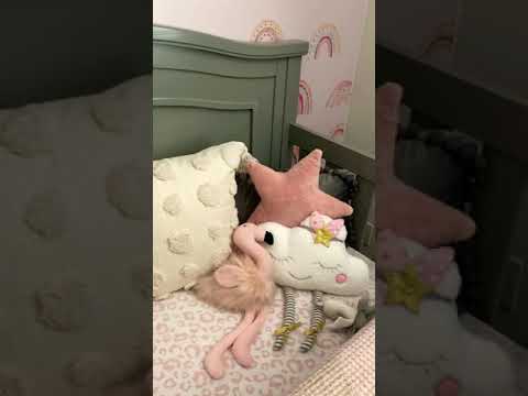 Baby Girl Nursery Decor