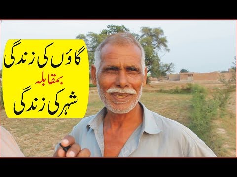 Rural life Vs Urban Life | Urdu Vlogs | Village Life in Pakistan | Jutt Da Putar