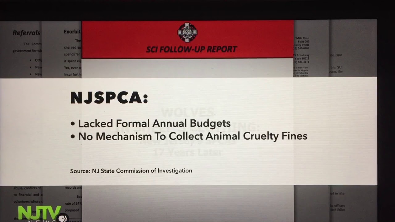 NJTV news clip on SCI report about NJSPCA with Dante DiPirro, interview.